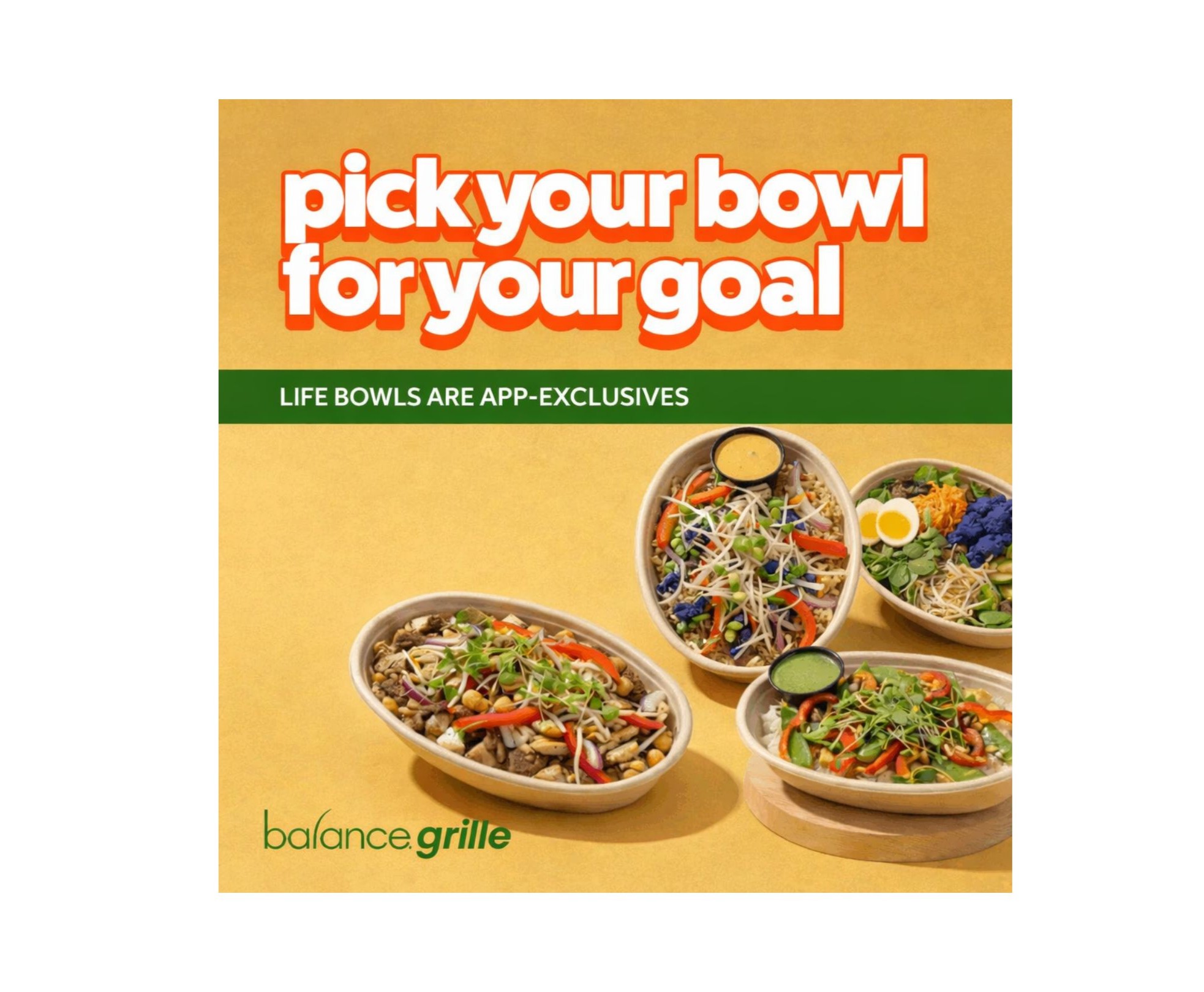 Pick Your Bowl for Your Goal: A Guide to Balance Grille’s Life Bowls ...